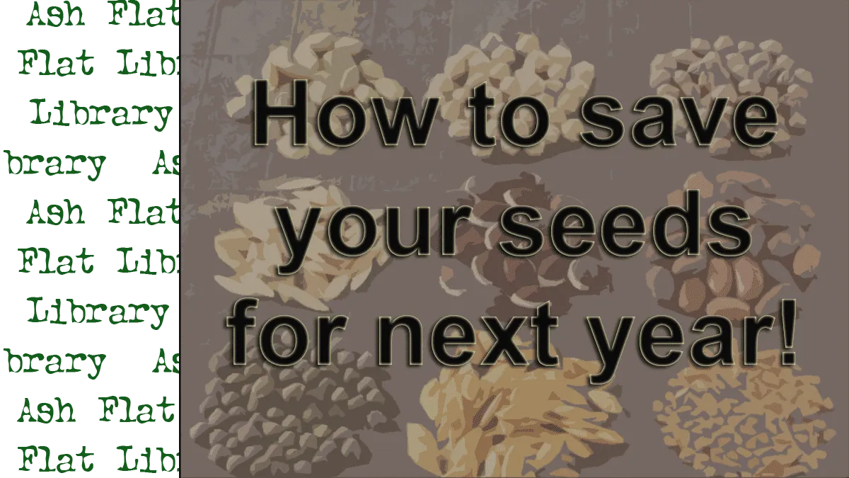 Seed saving class - Hallmark Times